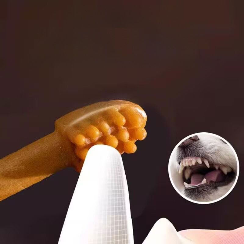 Bichon Dog Molar Stick Puppy Chewing Gel Bone Toy Small Dog Training ...