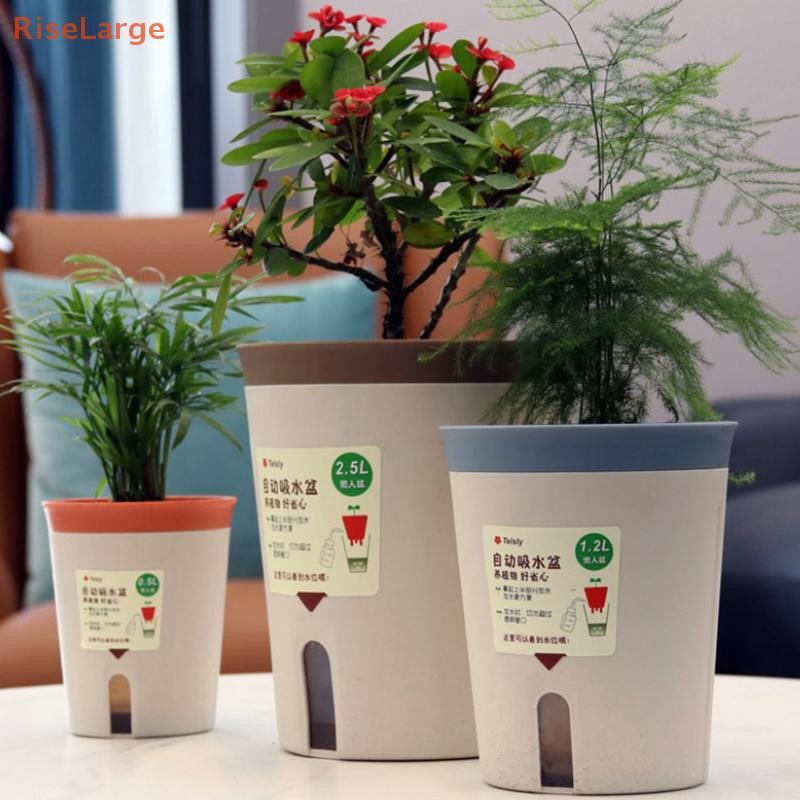 [RiseLarge] Double Layer Self Watering Hydroponics Flower Pot Plastic ...