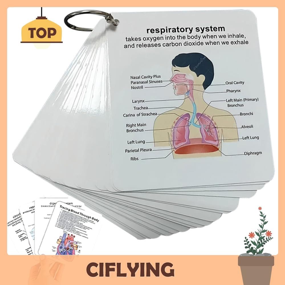Anatomy and Physiology Flash Cards 1 Set Human Body System Anatomy Card ...
