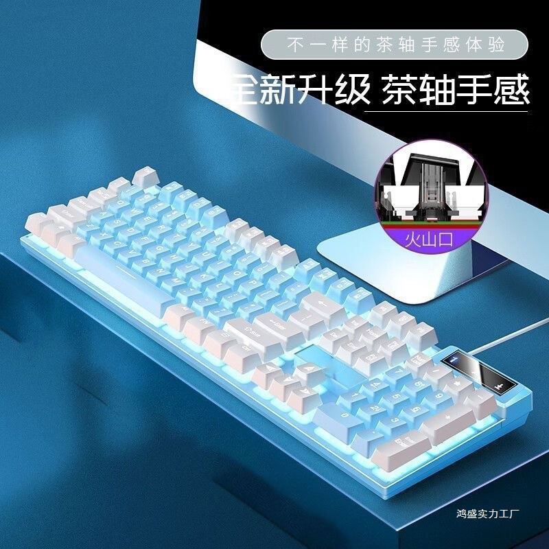 Blue and White Dual Color Wired Keyboard with Mechanical Feel, Backlit ...