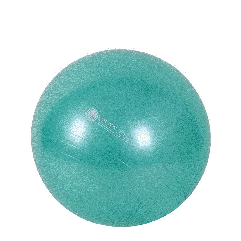 High-End Fitness Yoga Ball Pink Pregnant Women Silver Fitness Medium ...