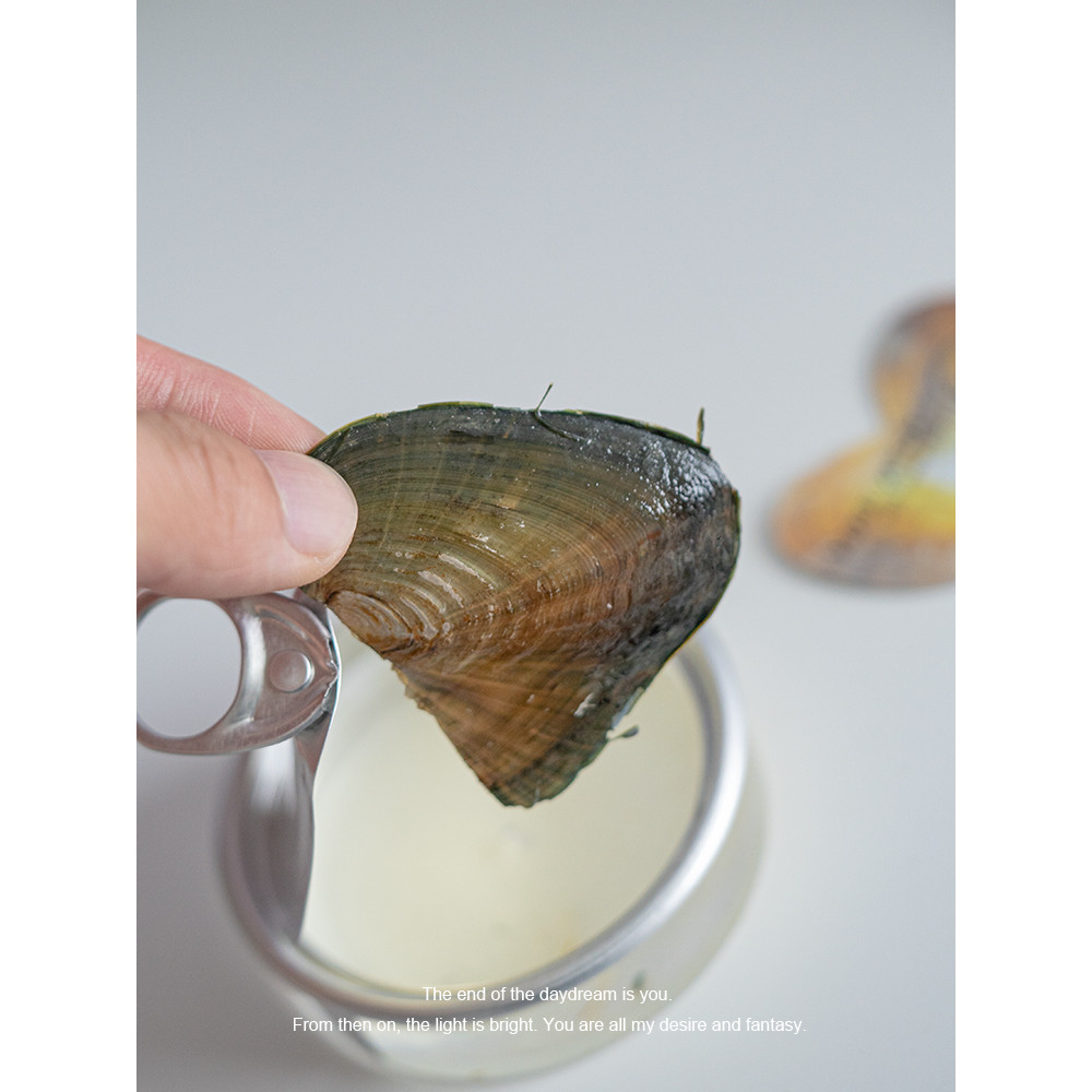 "Do It Yourself Open Your Own Pearl" Surprise Cans Small Clams Mystery ...