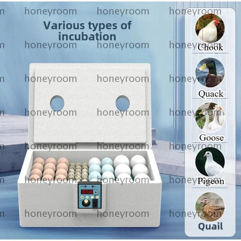 HONEYROOM Hatchery|Temperature Control 24-hour Thermostatic Small ...