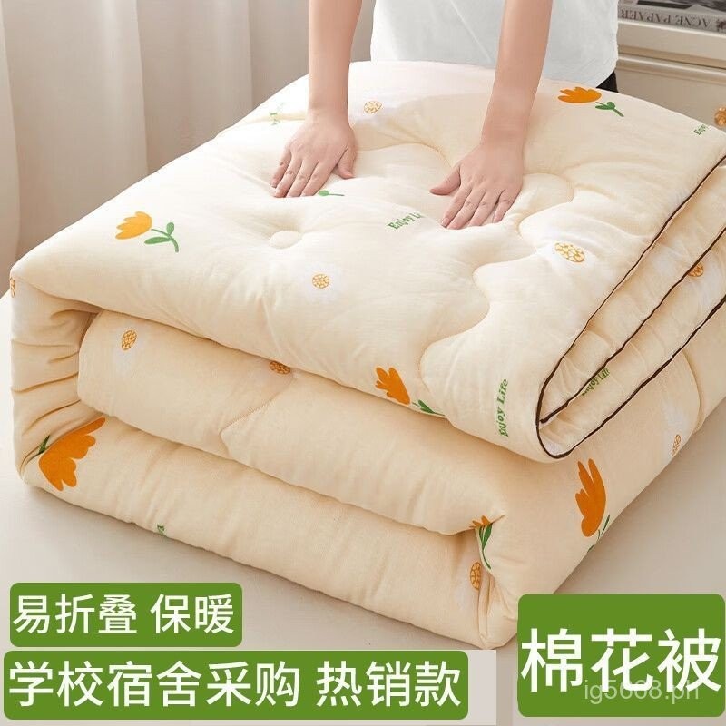 Thick Quilt Core Spring and Autumn Quilt Single Cotton Quilt Winter ...