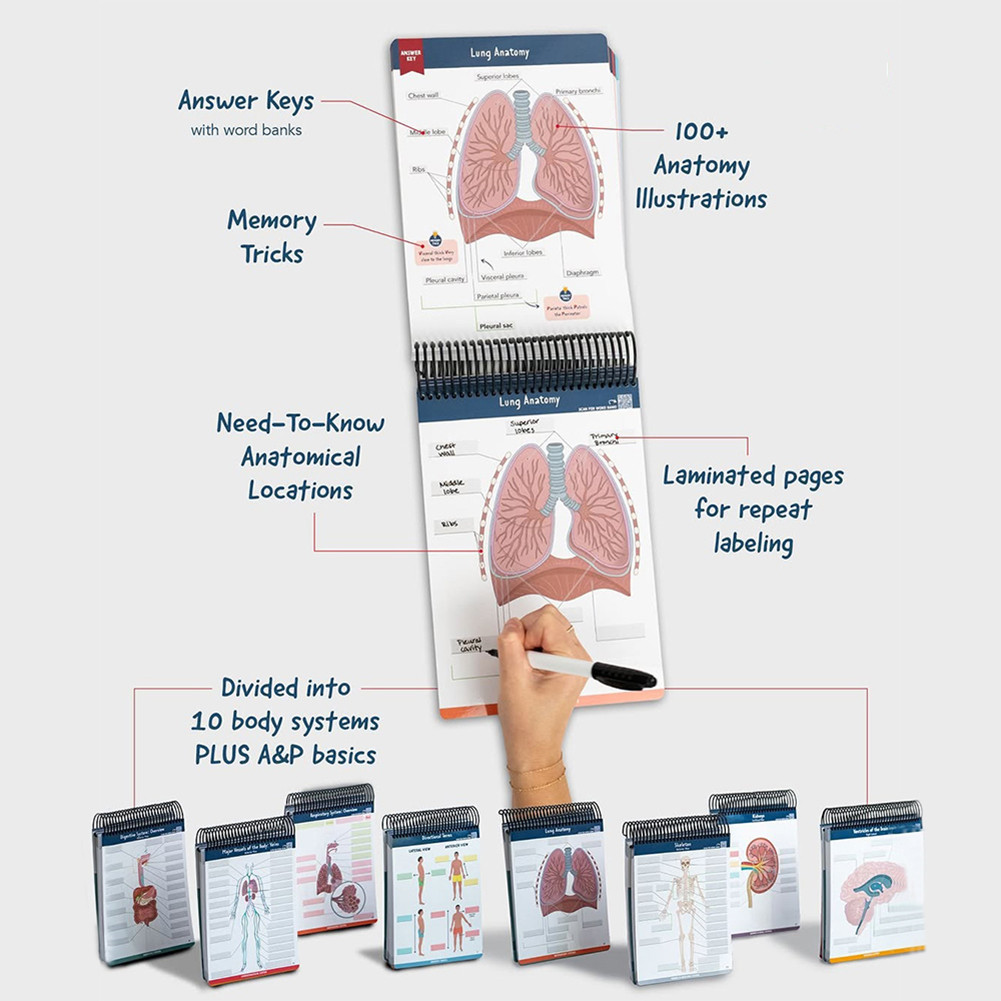 1pcs Creative Human Anatomy Busy Book 100+ Full Color Anatomy Label-Lab ...