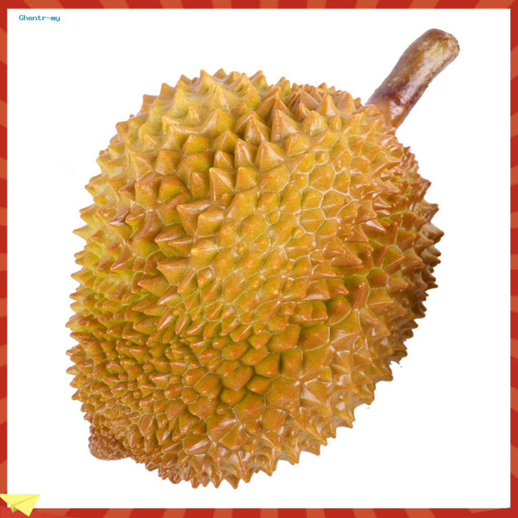GH Durian Display Prop Durian Food Display Prop Realistic Durian Model ...