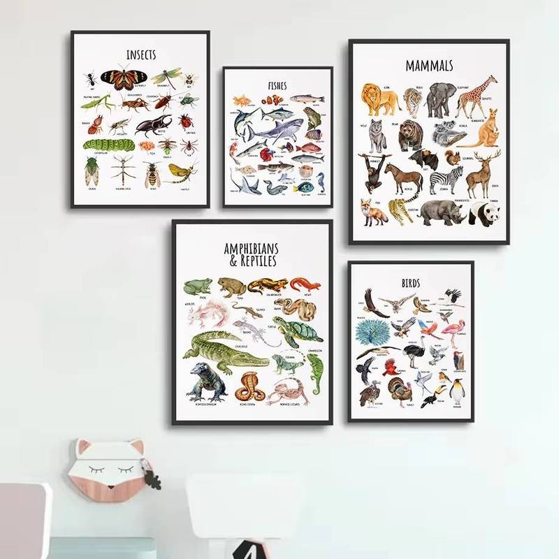 Animal Educational Classification Insect Reptiles Amphibians Mammals ...