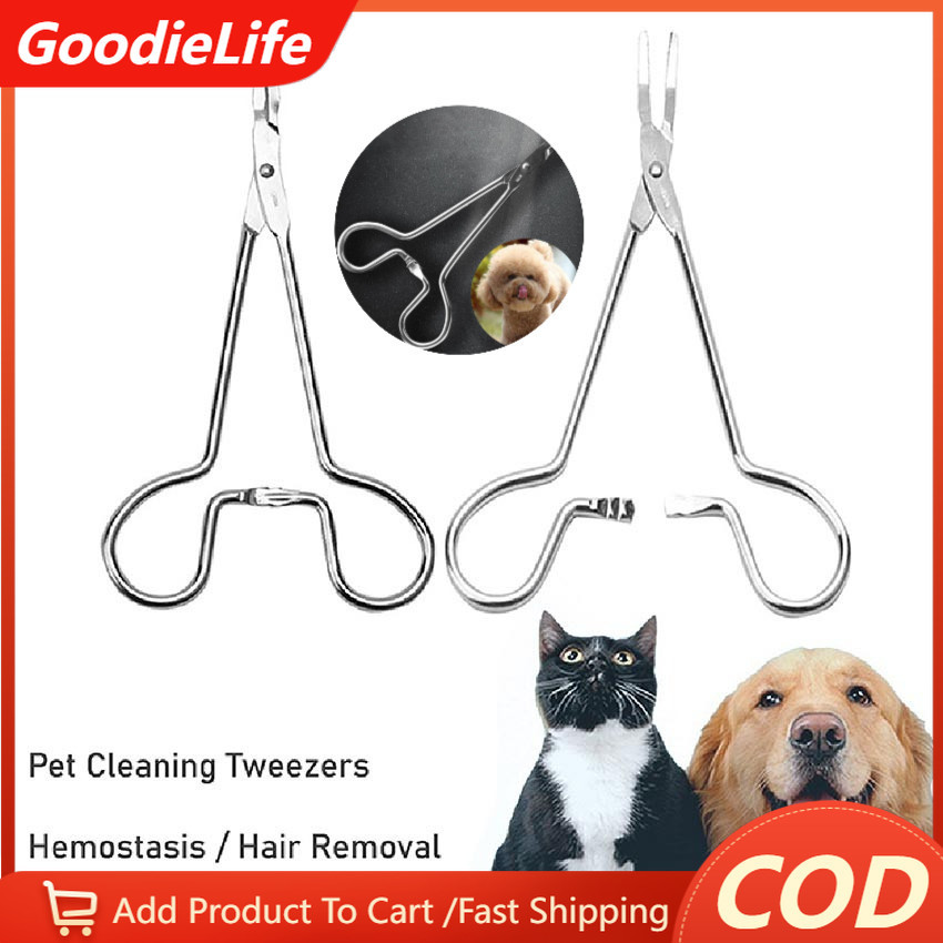 Pet Cleaning Pliers Dog and Cat Hemostatic Forceps Go To The Hospital ...