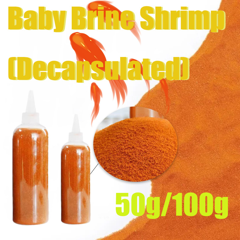 50/100g bottle Baby Brine Shrimp BBS Decapsulated Ready to Feed, No ...