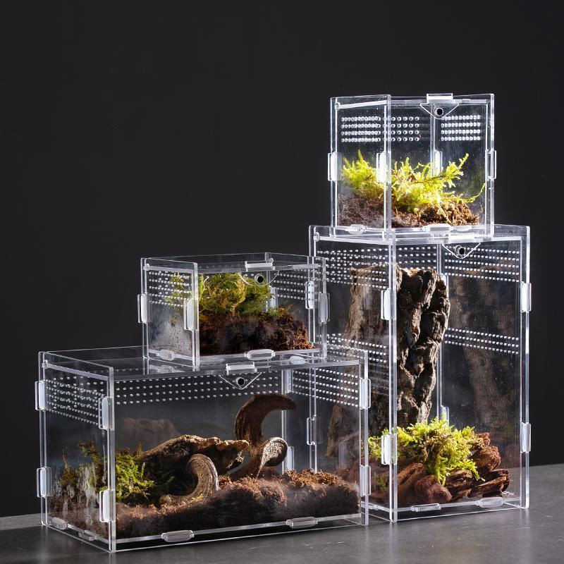 AD1PH Acrylic Transparent Reptile Breeding Box Terrarium Habitat Insect ...