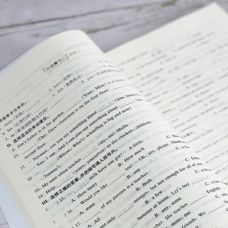 2023 Premium Students English Elementary School Grammar and Sentence ...