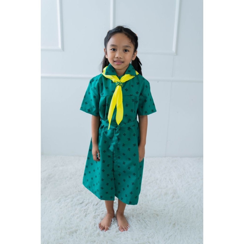 DRESS STAR SCOUT 6 IN 1 COMPLETE SET | Shopee Philippines