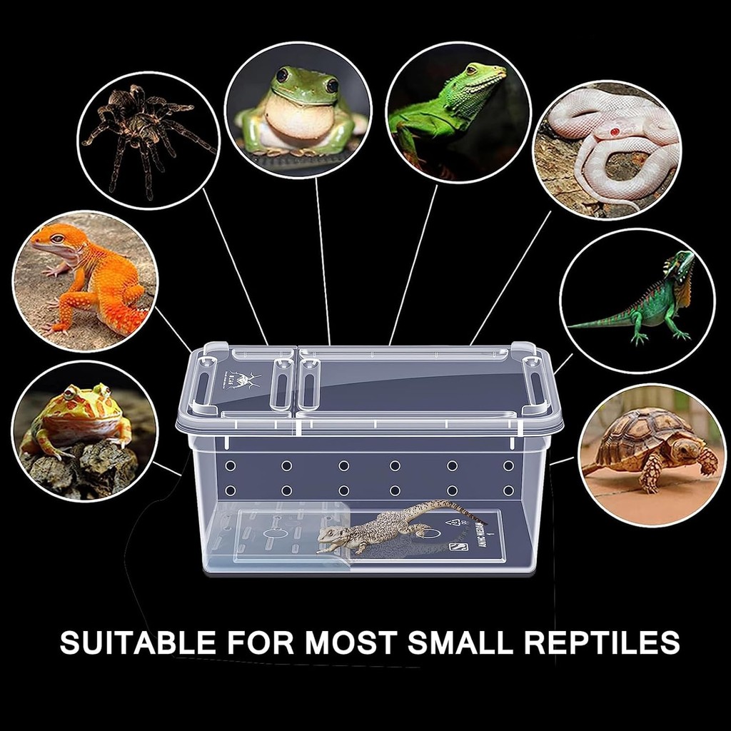 Critter Keeper Ant Farm Cane Toad Trap Little Live Pets Bug Catcher Kit ...