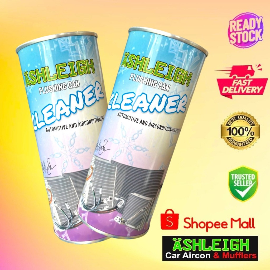 Ashleigh 2PC Car Aircon System Cleanser flushing can | Shopee Philippines