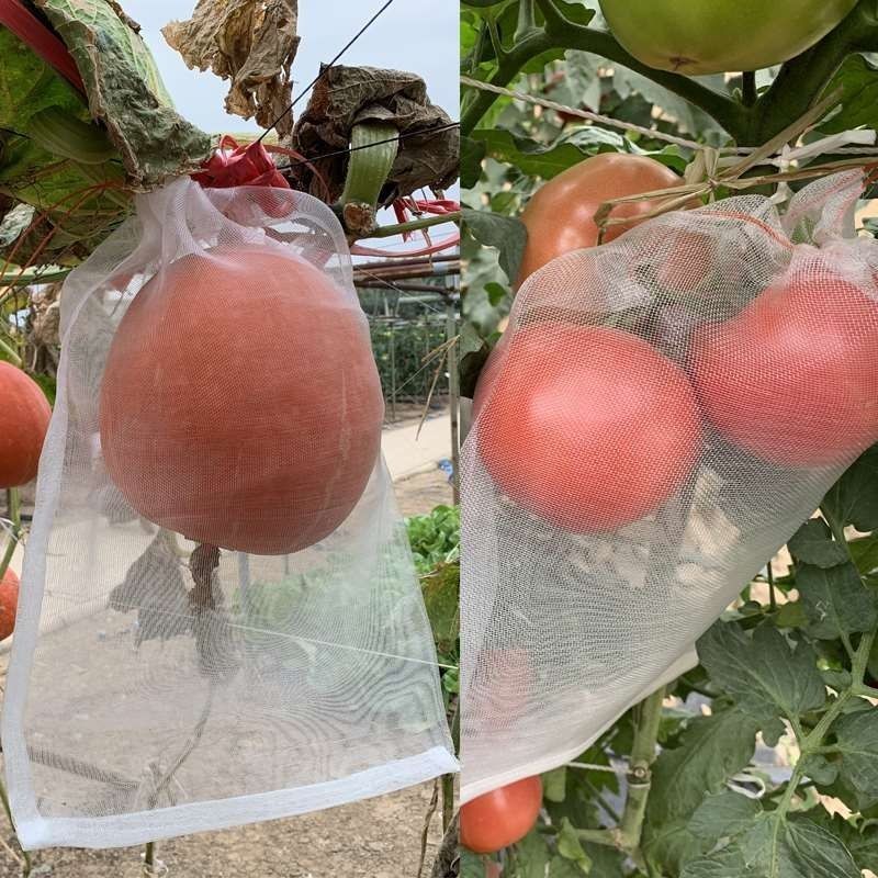 Insect-Proof Net Bag Fruit Tree Bird-Proof Net Strawberry Fruit-Proof ...