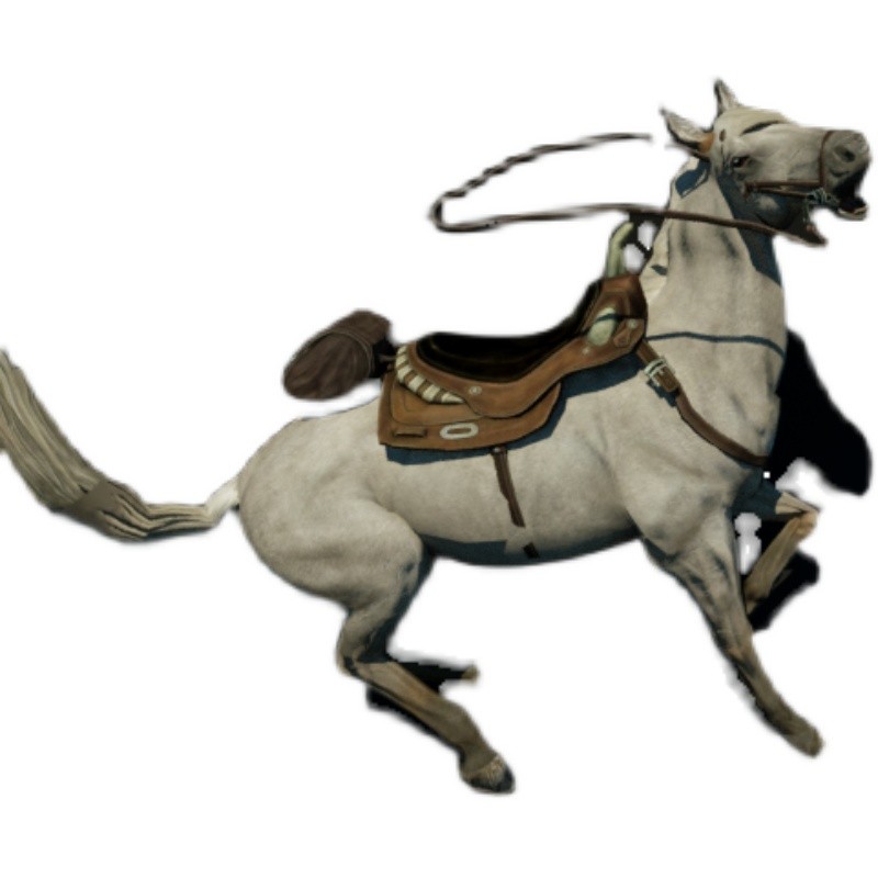 Horse Skeleton Binding Animation Animal Model 3d 3d Material c4d ...