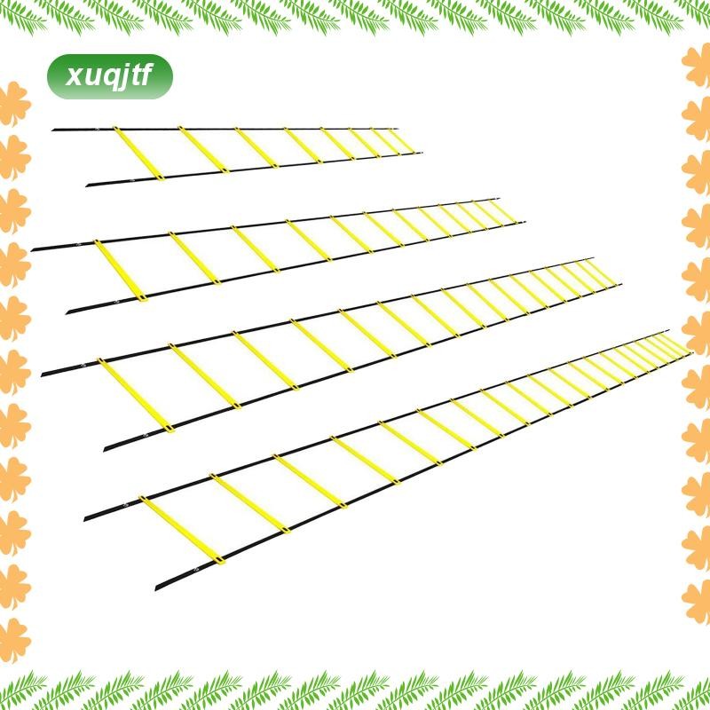 Portable Agility Ladder Ladder Training Ladder Equipment for Soccer ...