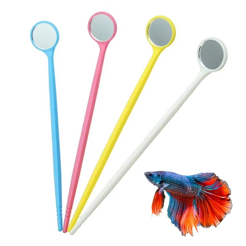 Round Flaring Mirror Flare Stick for Betta Fish Aquarium Needs | Shopee ...