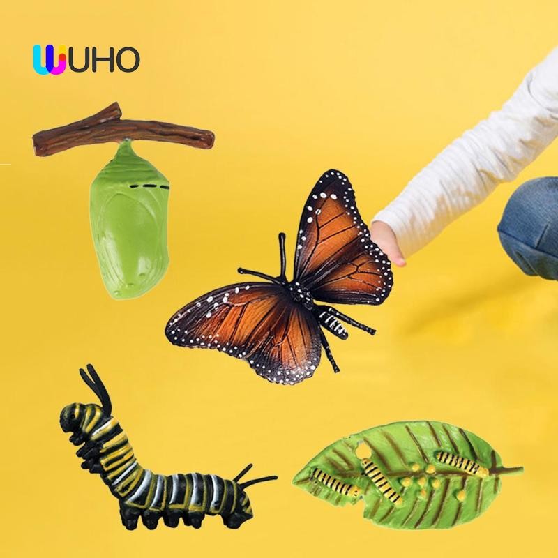 [WUHO] Early Kids Insect Cycle Figures Butterfly Growth Model Toys ...