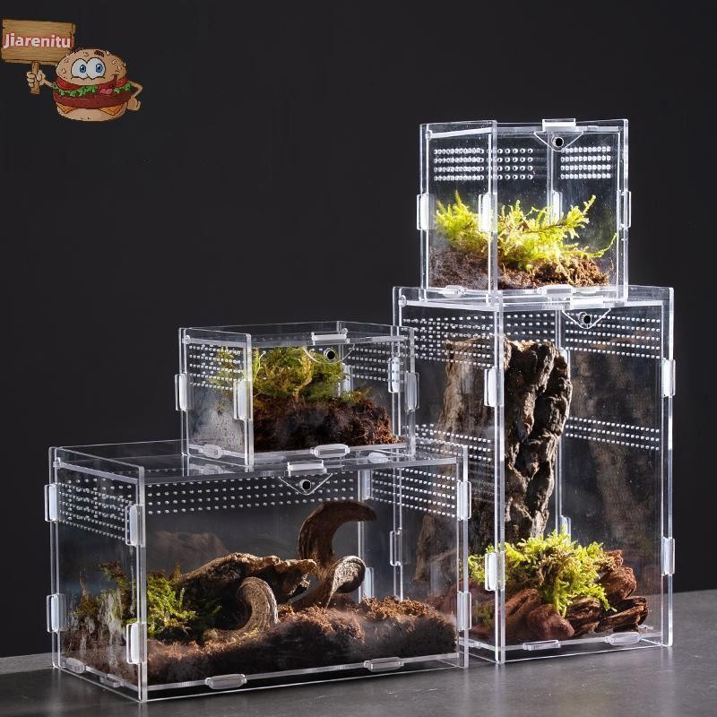 jia Acrylic Transparent Reptile Breeding Box Terrarium Habitat Insect ...