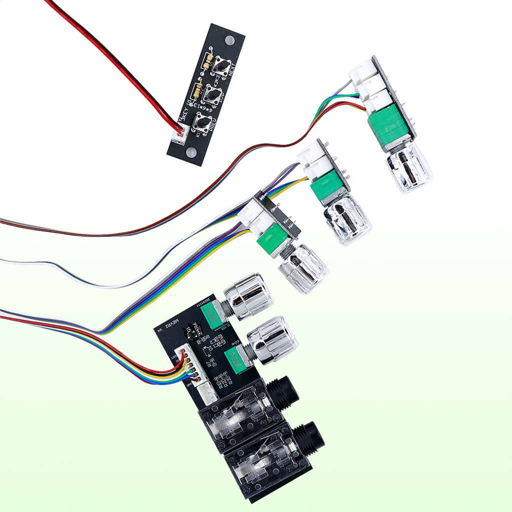 Digital Power Amplifier Board with Dual Mic Echo Amplifier Board Kit ...