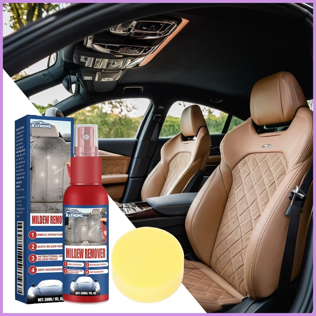 Car Wash Mold Remover Instant Mold Control Cleaning Solution Fast ...