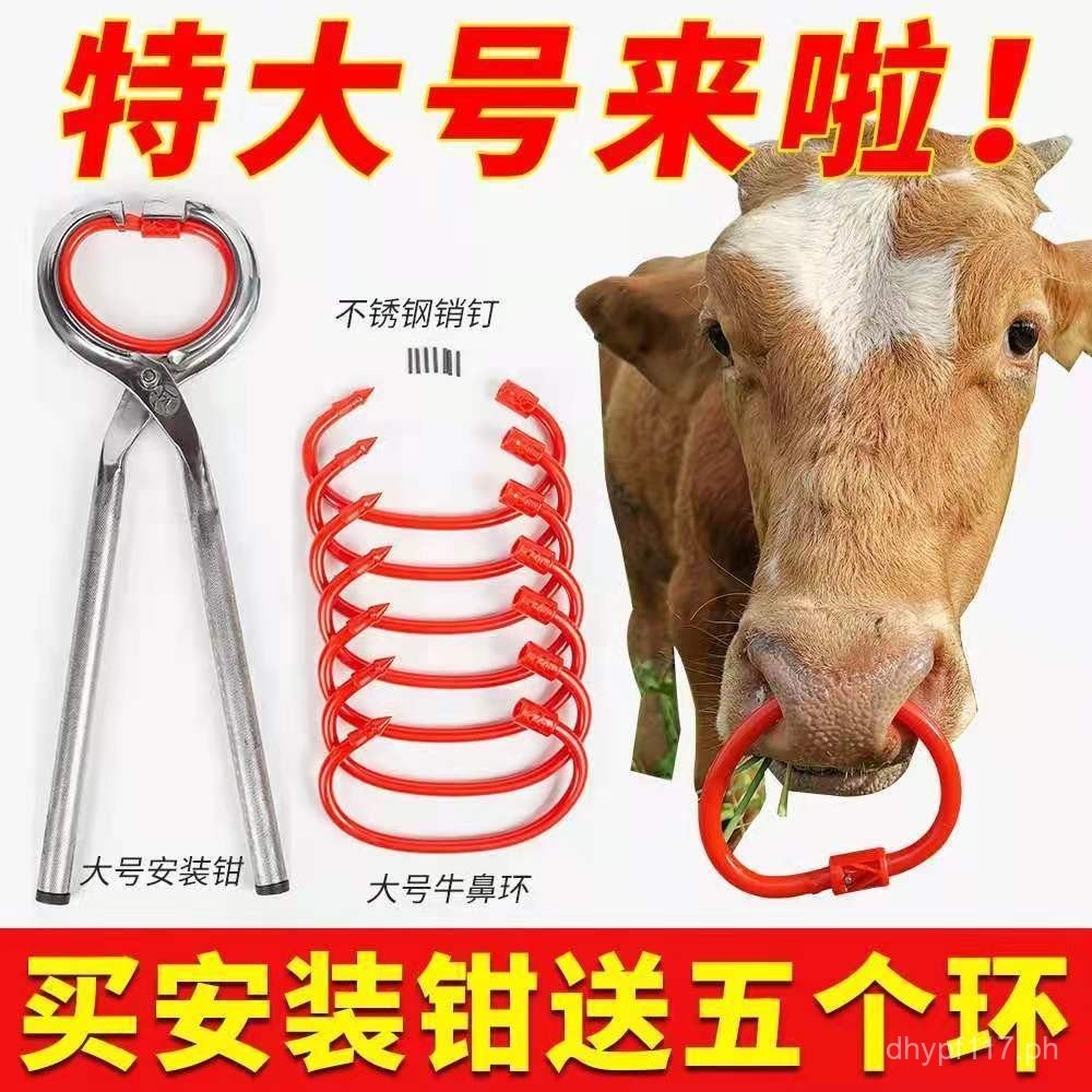 Cattle Traction Nose Ring Pliers Buckle Large Nose Ring Cattle Nose ...