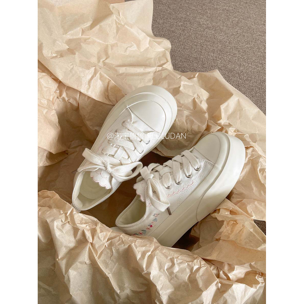 Ludan Women's Canvas Shoes - Thick Sole, Breathable Design, Embroidered ...