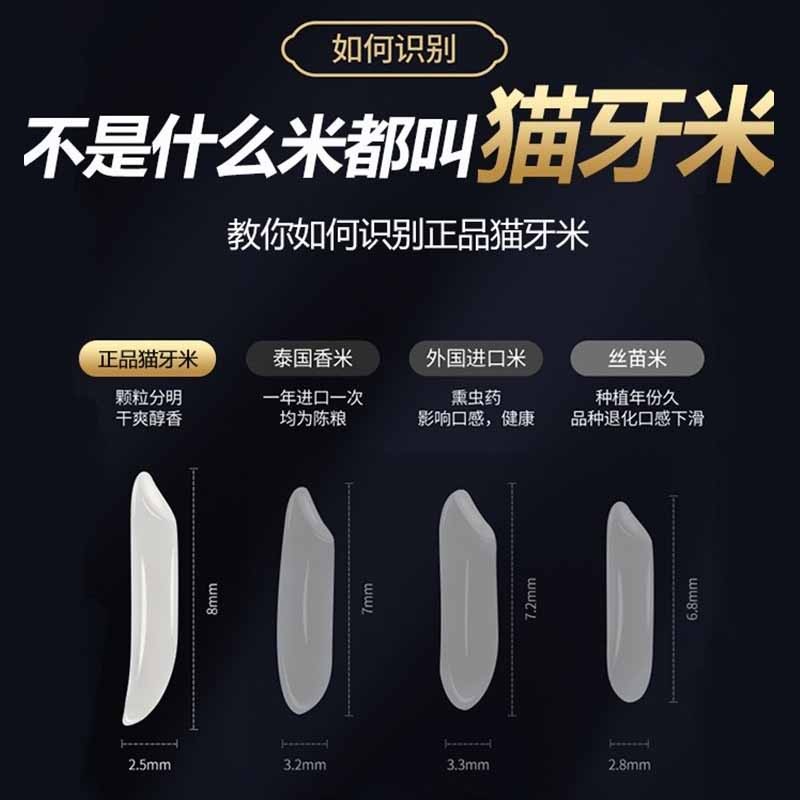 2022 New Rice Cat Teeth Rice Thai Jasmine Fragrant Rice Super Long Rice ...