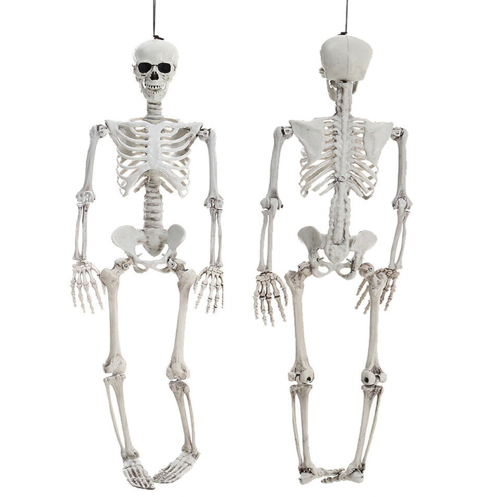 Full Life Size Human Skeleton Halloween Prop Poseable Haunted House ...
