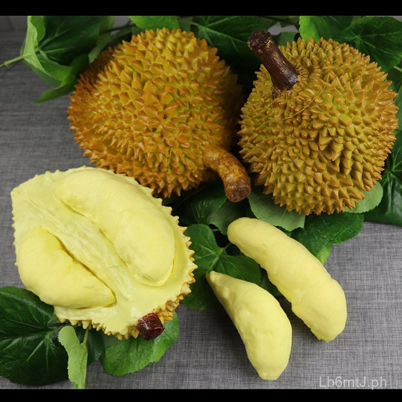 Fake Fruit Fake Durian Prop Model Toy Display Simulation Factory Direct ...