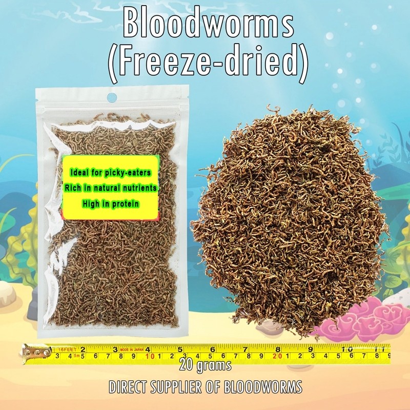 20g/40g/100g Bloodworm Freeze-dried Fish food for guppy betta angelfish ...