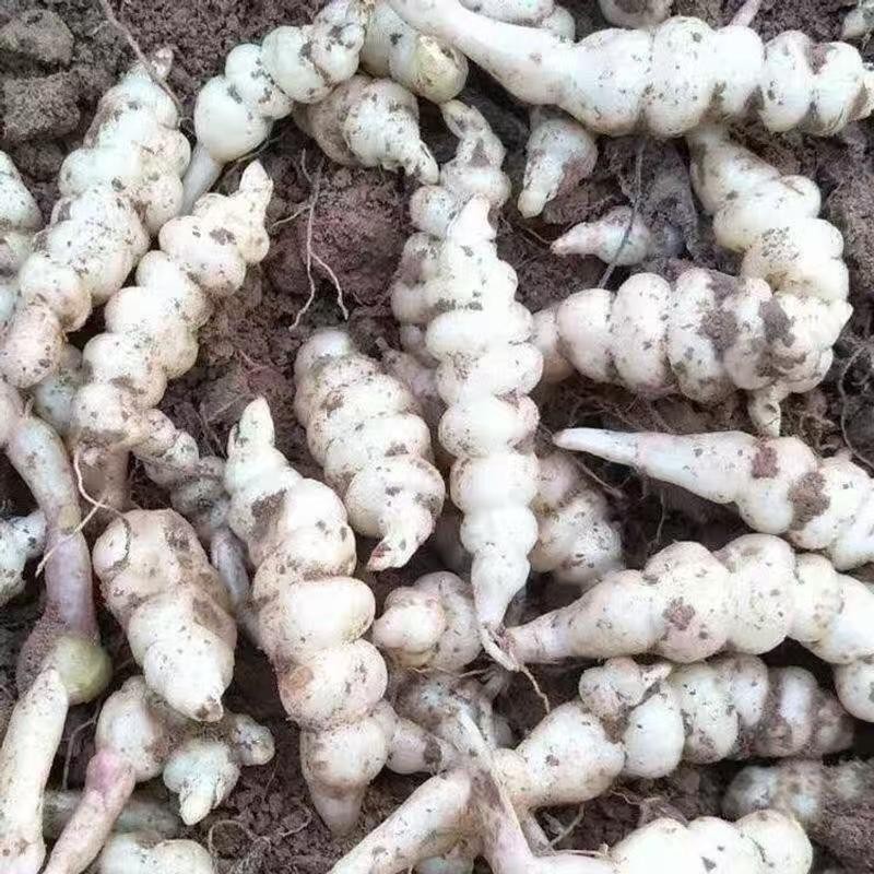 Pagoda Vegetable Ground Beef Vegetable Ground Vegetable Ground Ring ...