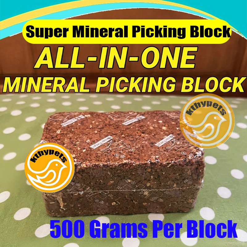 Super Mineral Picking Block for Pigeon Pink mineral grits and red stone ...