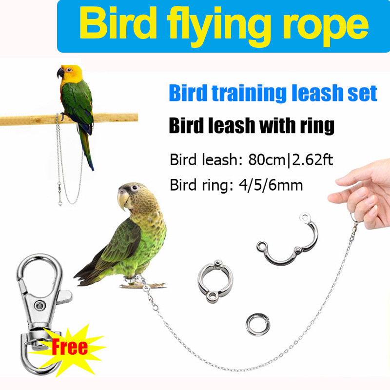 Birds Flying Rope Bird Training Ring Parrot Pigeon Flying Rope Pet ...