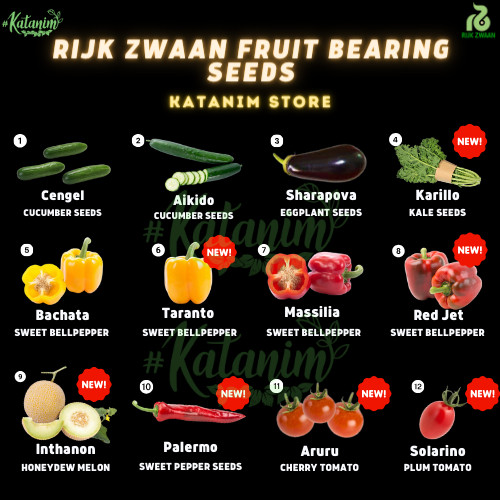 katanim FRUIT BEARING Seeds Collection 3 | Rijk Zwaan Cucumber Eggplant ...