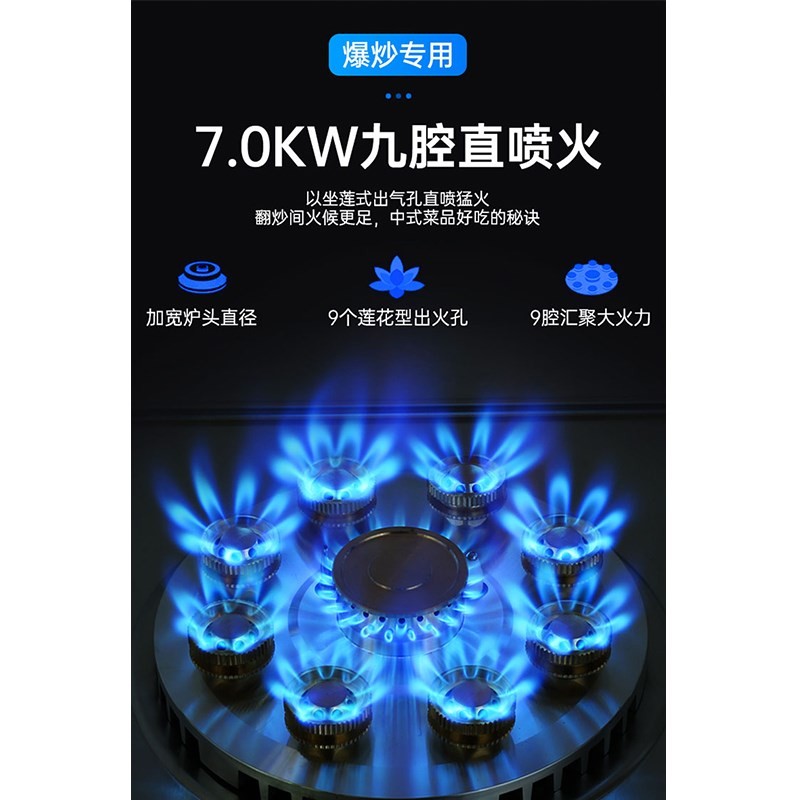 Haier Life Gas Stove Household Fire Infrared Energy-Saving Gas Stove ...
