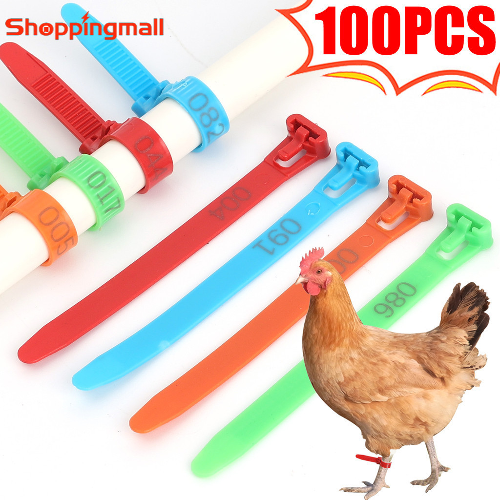 100PCS Poultry Identification Leg Bands - Adjustable Chicken Foot Ring ...