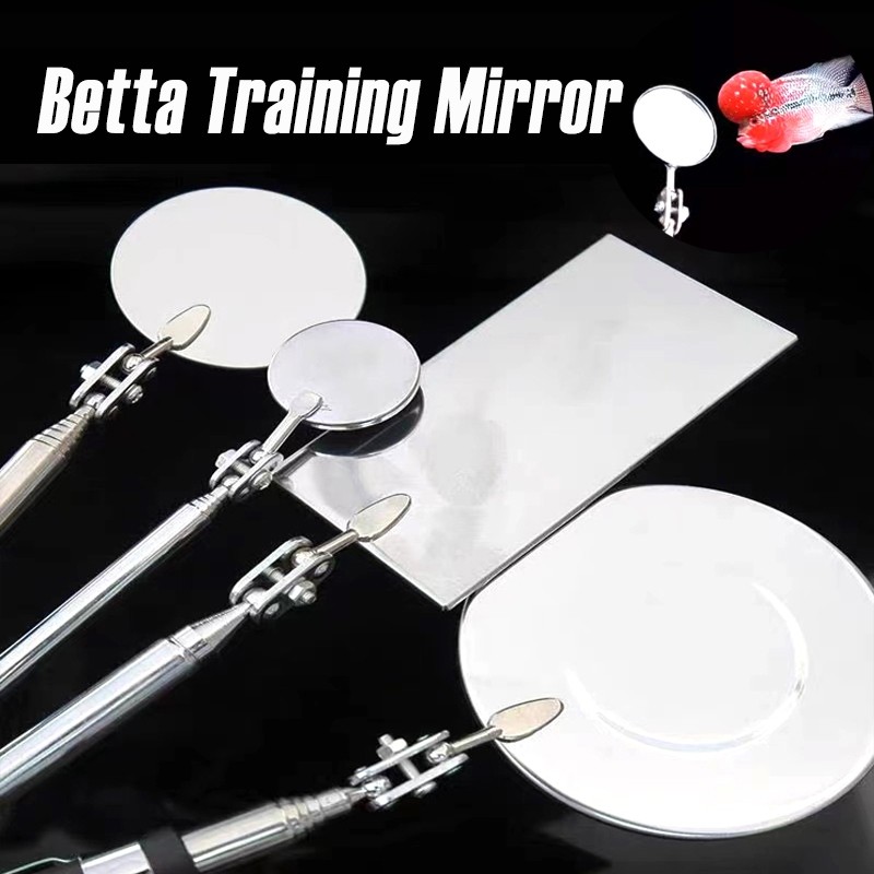 Betta Training Mirror 360 -degree rotation Betta Strike Reflect Mirror ...