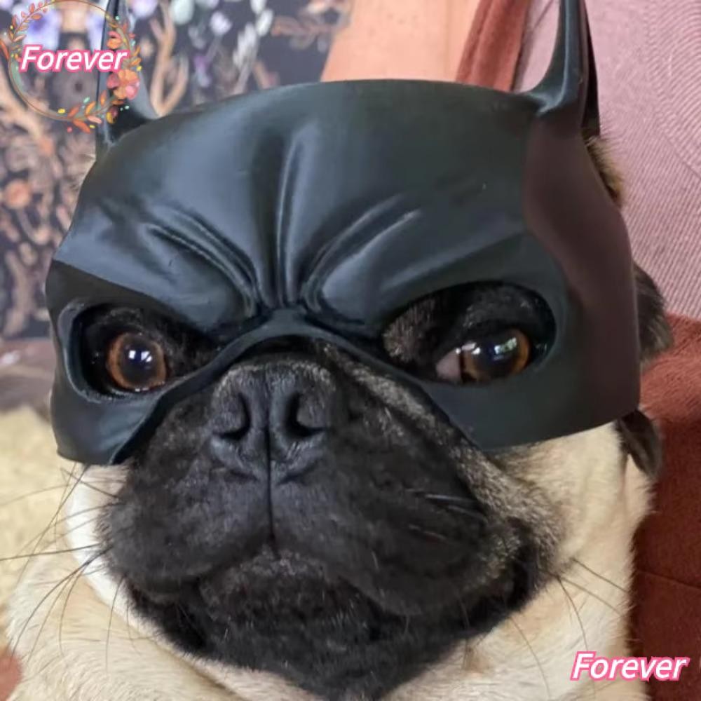 FOREVER Batman Dog , Black Cool Dog Avenger , Cosplay Superhero Style ...