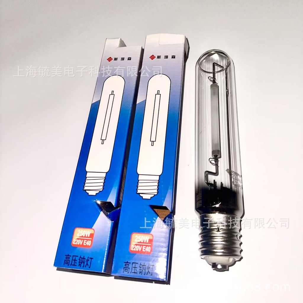 Philips Stassen High Pressure Sodium Lamp NG 250W E40 | Shopee Philippines
