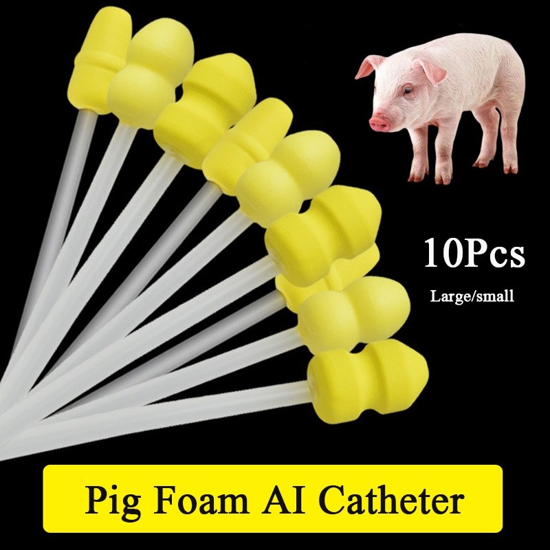 10Pcs Foam tip Catheter w/ end cap for sows/gilts pig Artificial ...