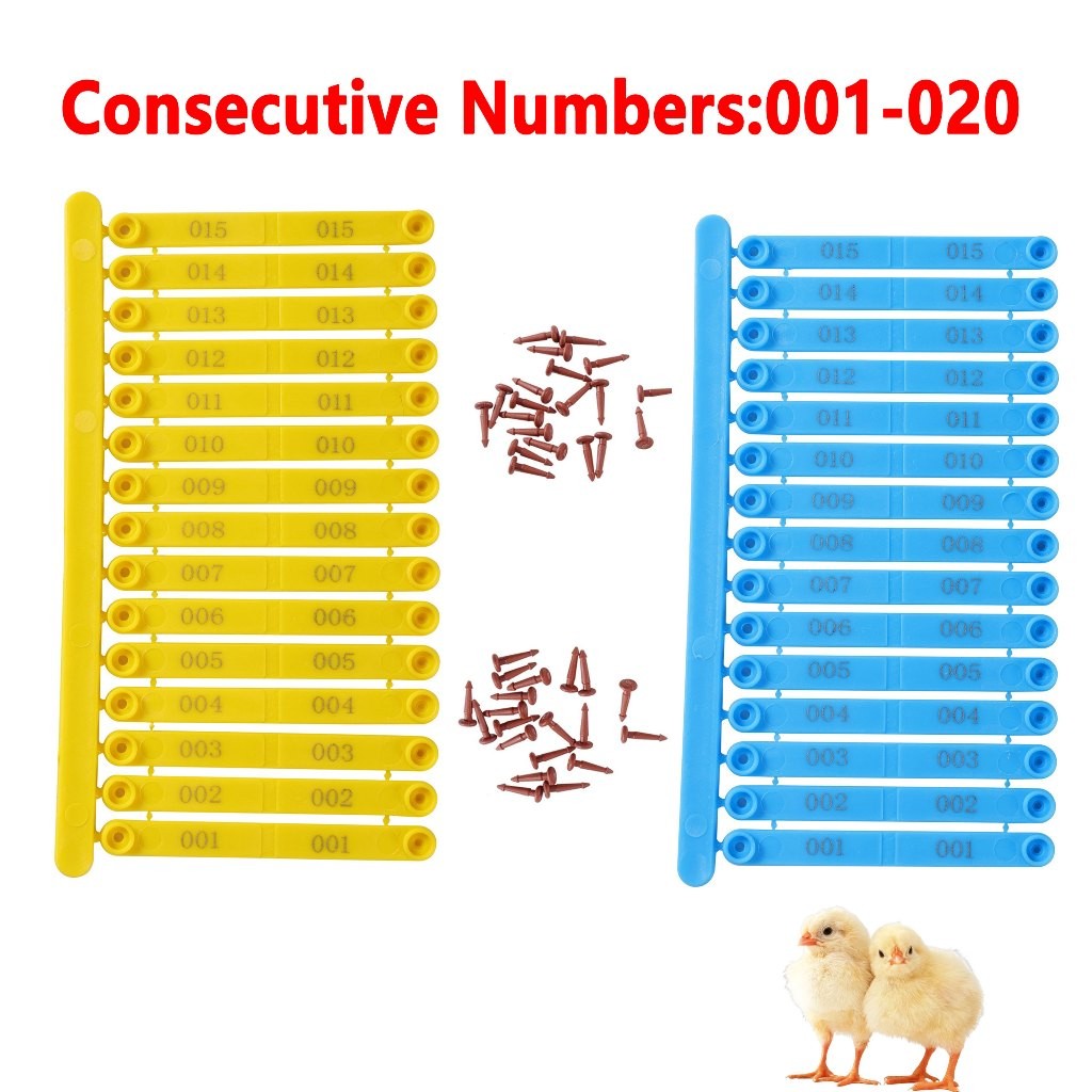 20Pcs Chicken identification tags Chicken wingband Wing band wpc for ...