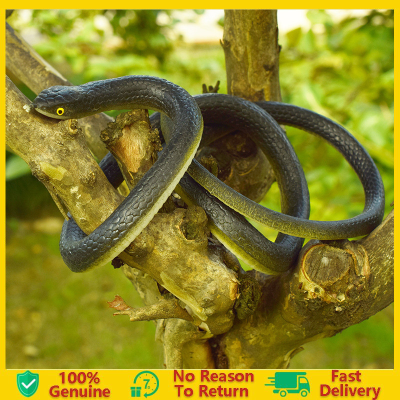 spring snake prank can april fools joke toy children scary pop-up ...