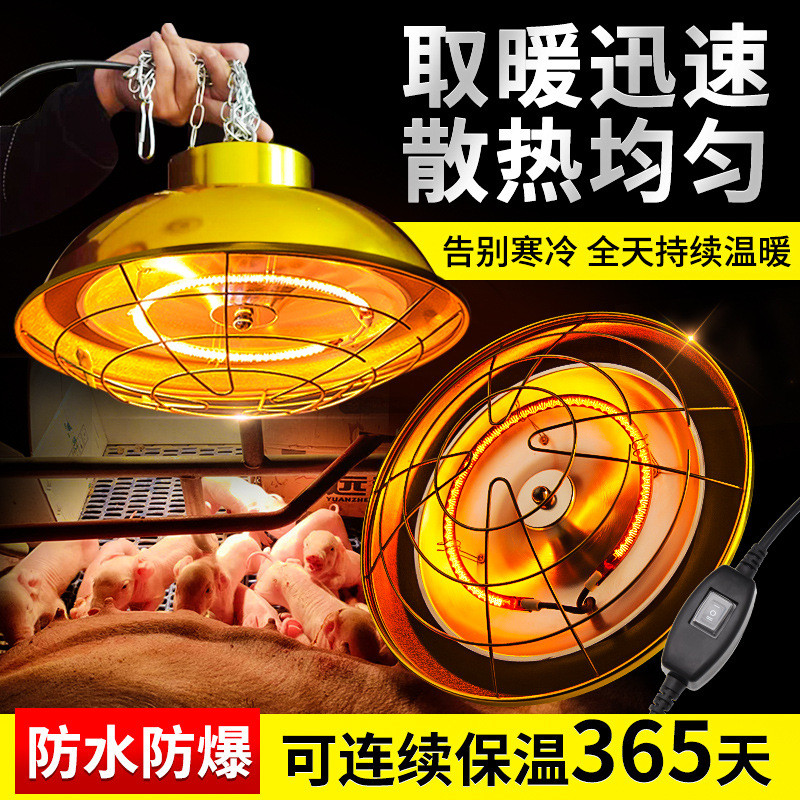 Insulation Lamp Farm Halogen Piglet Brooding Lamp Shade Piglet Warm ...