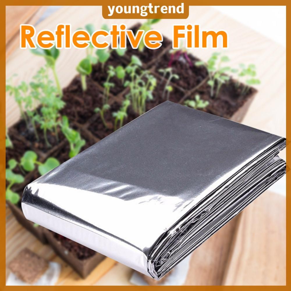 Shop mylar sheet for Sale on Shopee Philippines