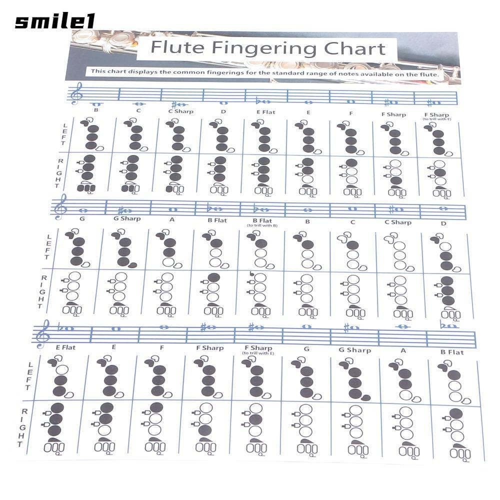 SMILE Flute Chord Chart, Includes Notes Scales Fingering Flute ...