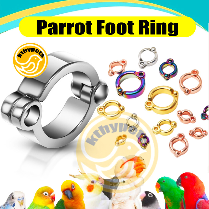 Bird ring Parrot Metal Foot Ring Outdoor Fly Training ring for Birds ...