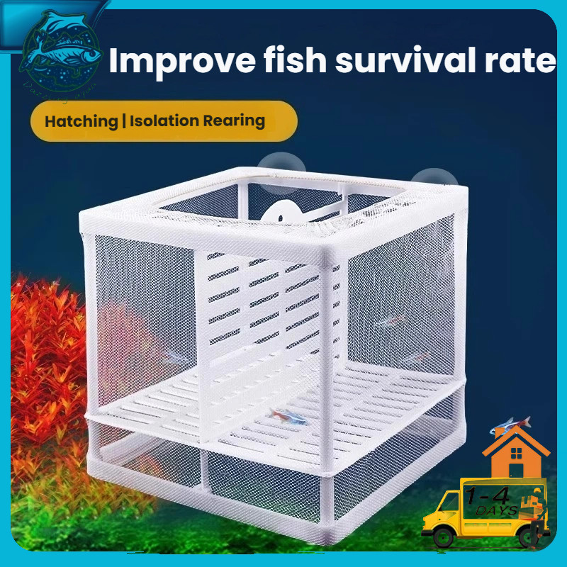 Fish tank breeding isolation box isolation net peacock fish large ...