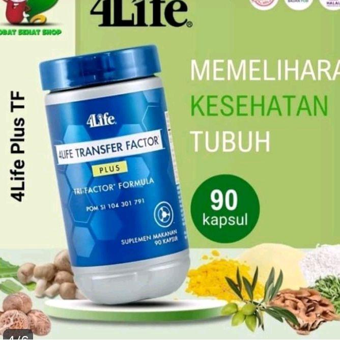 4life Transfer Factor Original Supplement, Effective Herbal Immune ...